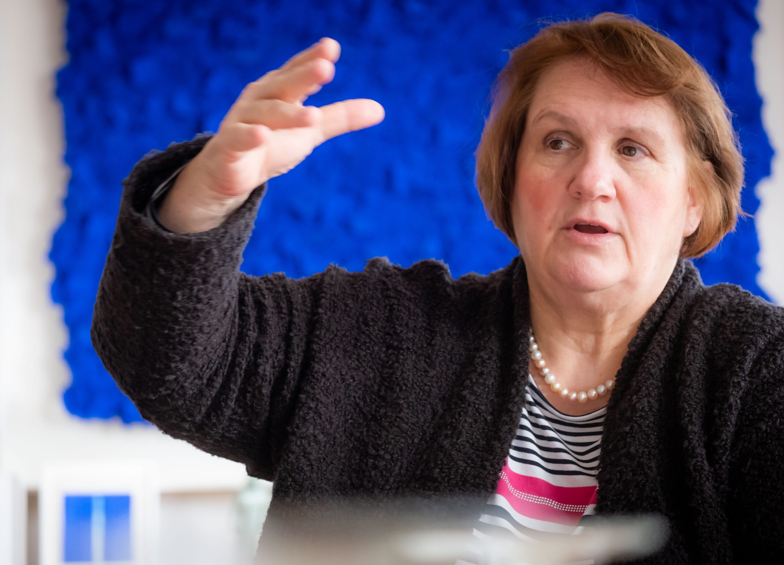 Schopper: „Man muss über alles reden, ohne Denkverbote“ | Staatsanzeiger BW