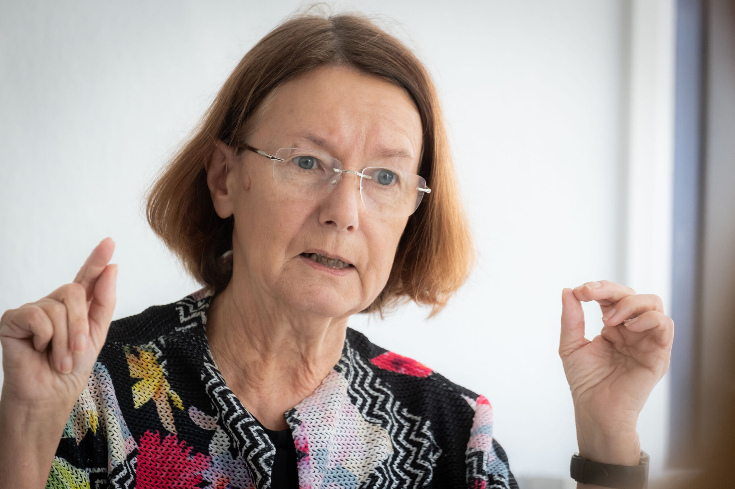 Evelyne Gebhardt: „Wer Europa kaputt macht, darf nicht an die Macht ...