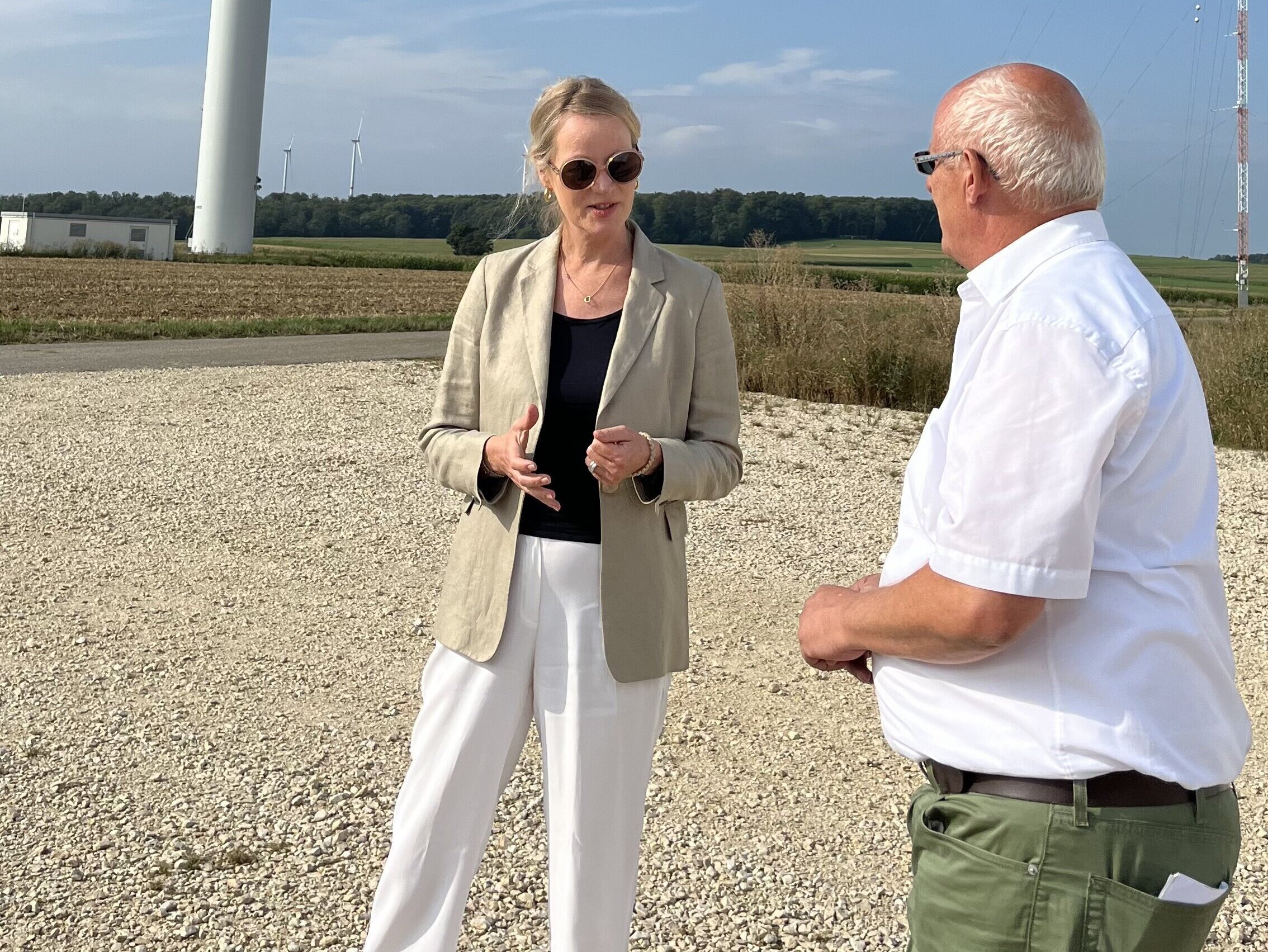 "Bird Recorder" soll Kollisionen zwischen Rotmilan und Windrad ...