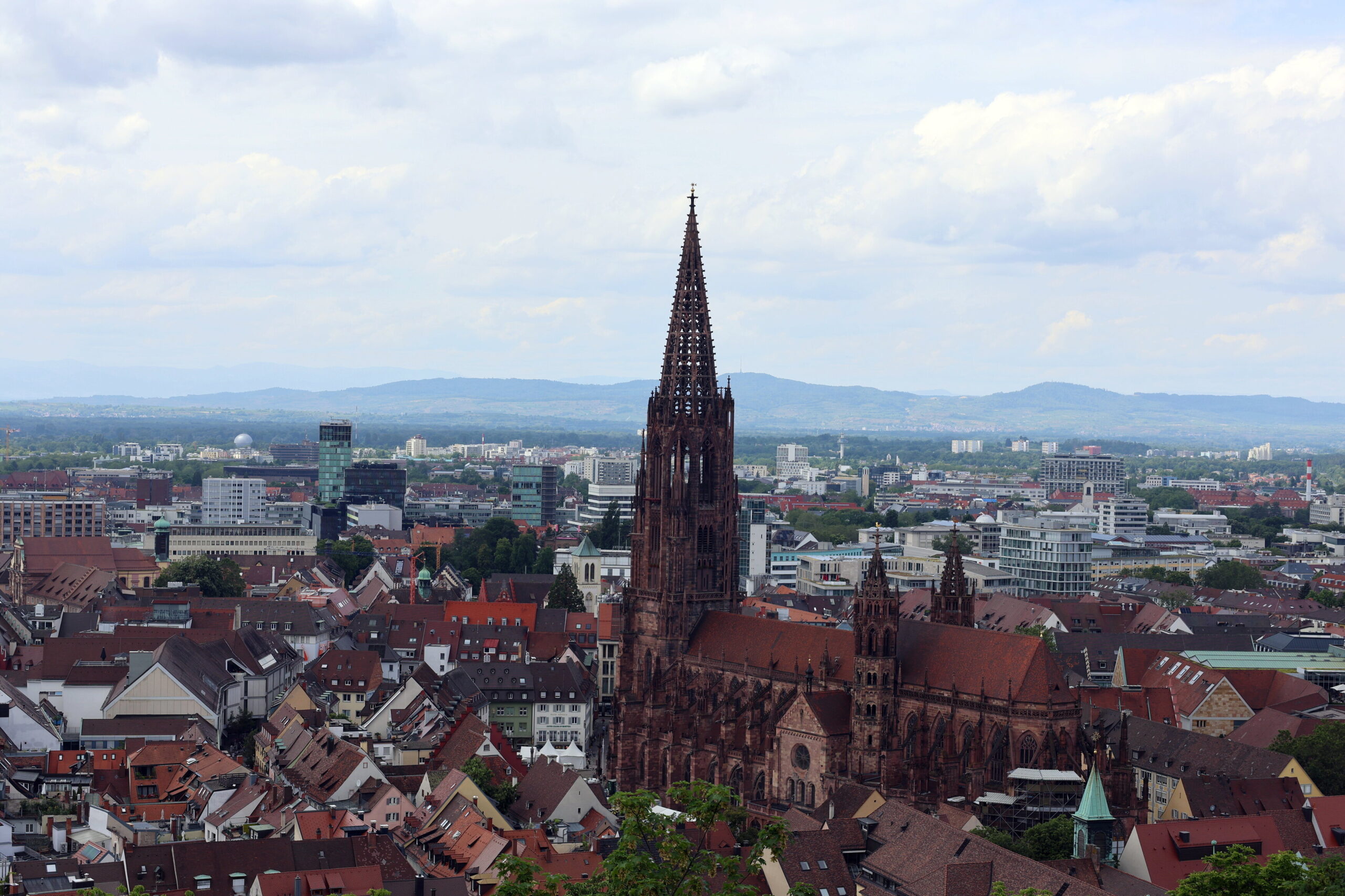 Auch Freiburg erhebt jetzt die Verpackungssteuer | Staatsanzeiger BW